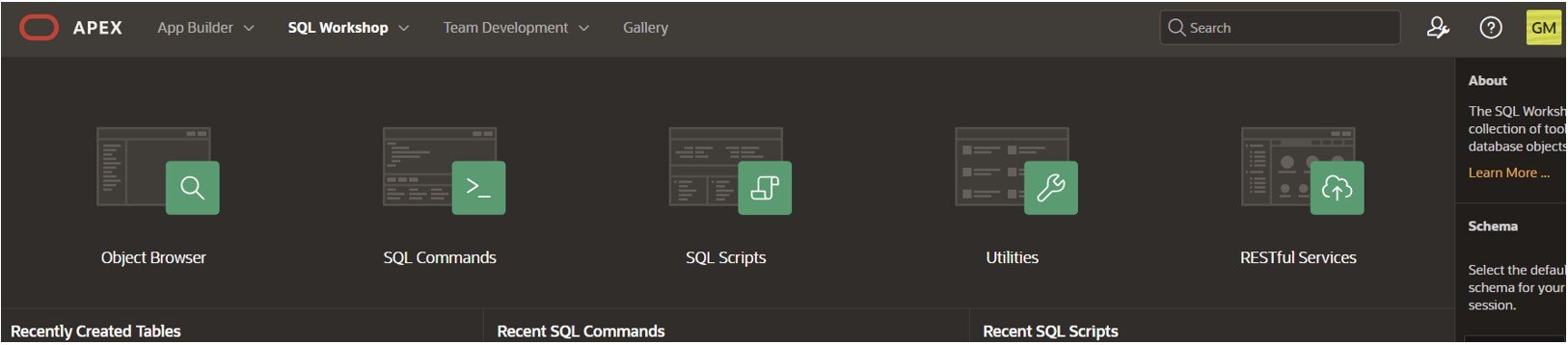 Oracle Apex V Sql Developer For Vs Code